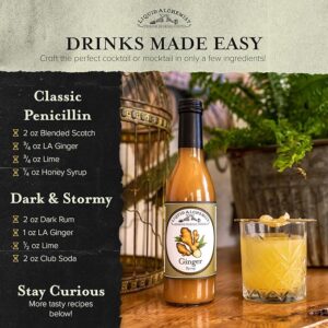 Ginger Cocktail Syrup - Liquid Alchemist